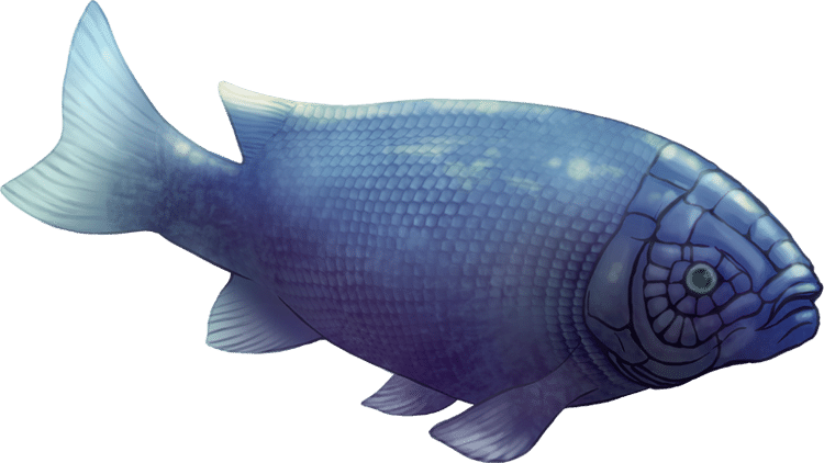 Espèce de climat – Fête de la Science